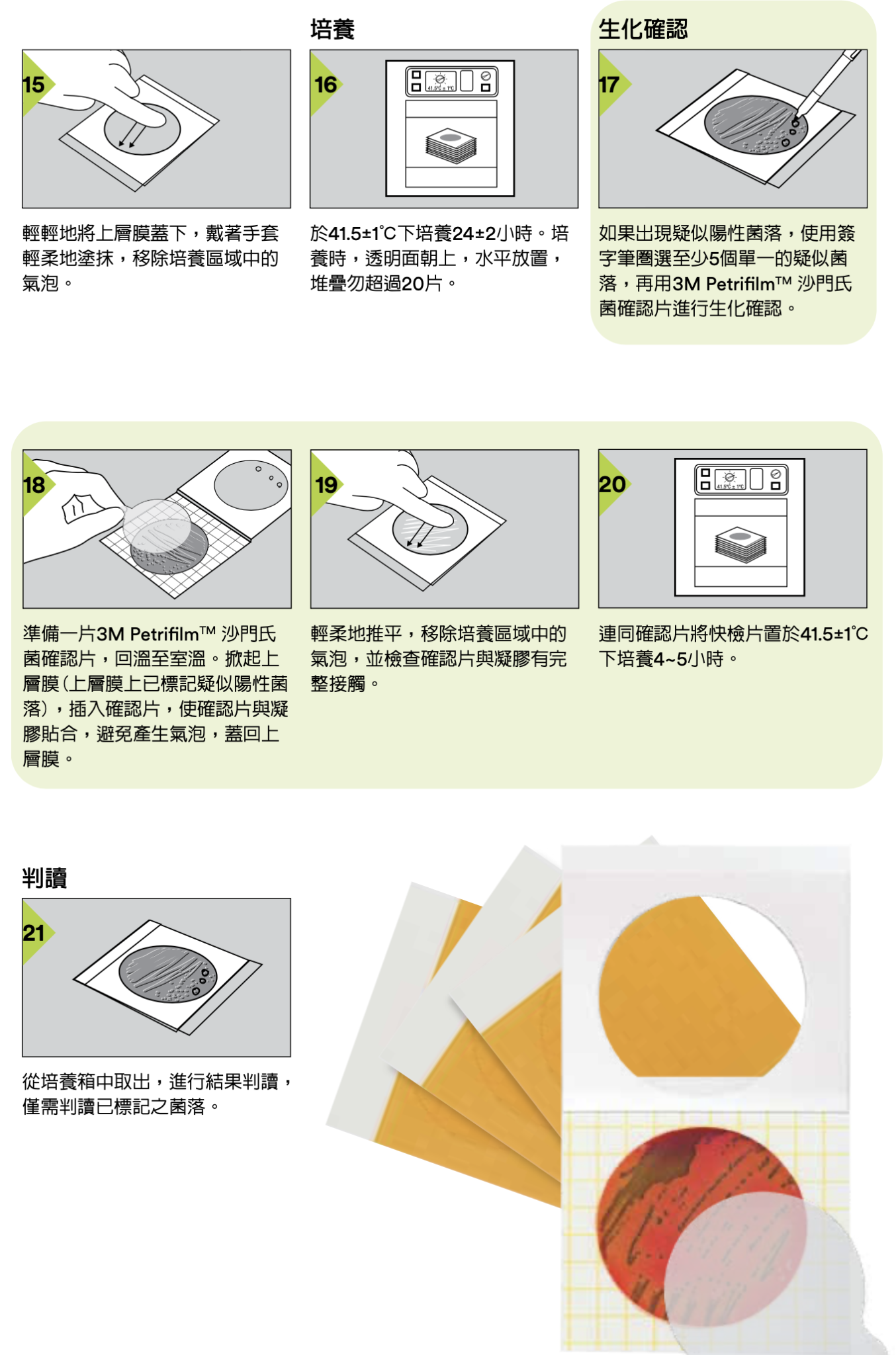 3M™ Petrifilm™ 沙門氏菌確認片 貨號6538 | 太鼎食安科技