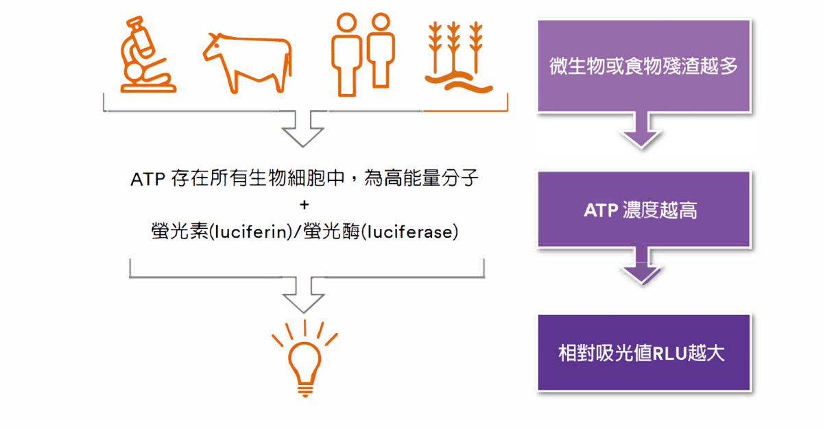 3M ATP冷光檢測系統 | 太鼎食安科技